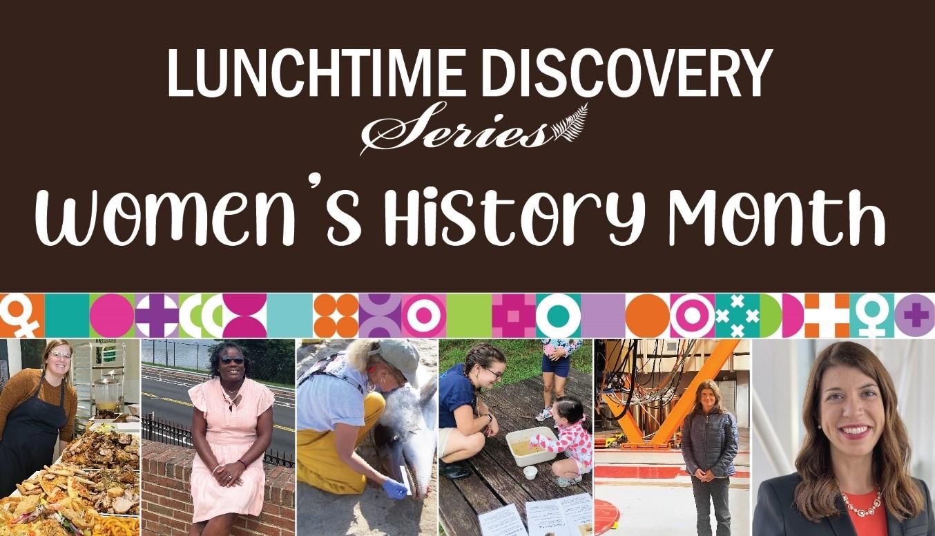 Lunchtime Discovery Series | NC EE